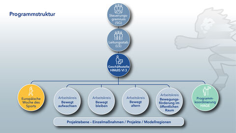 Organisationsstruktur und Kooperationspartner | SPORTLAND HESSEN bewegt
